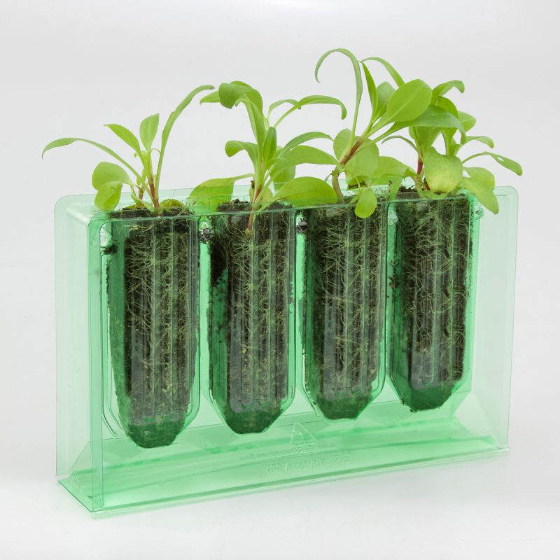 Anzuchtbox mit 4 Zellen für Samen und Sämlinge (5Stk.) – Gardendealer24